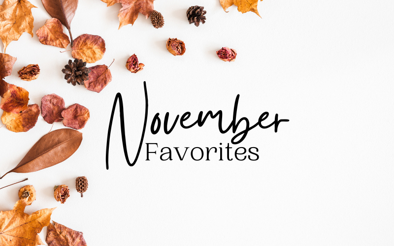 9 Products Our Dietitians Are Loving this November | Clem&Thyme Nutrition