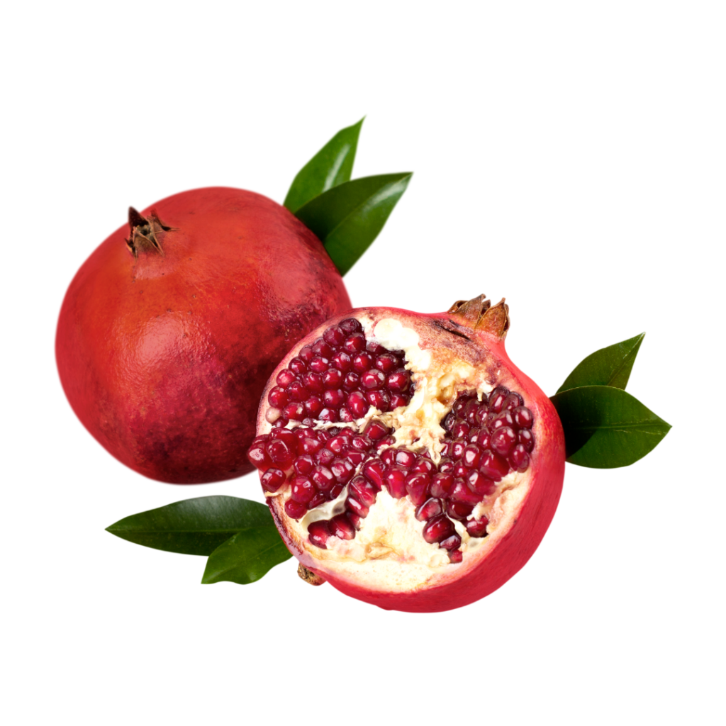 Our Dietitians' Favorite Things in January 2023 | Clem&Thyme Nutrition